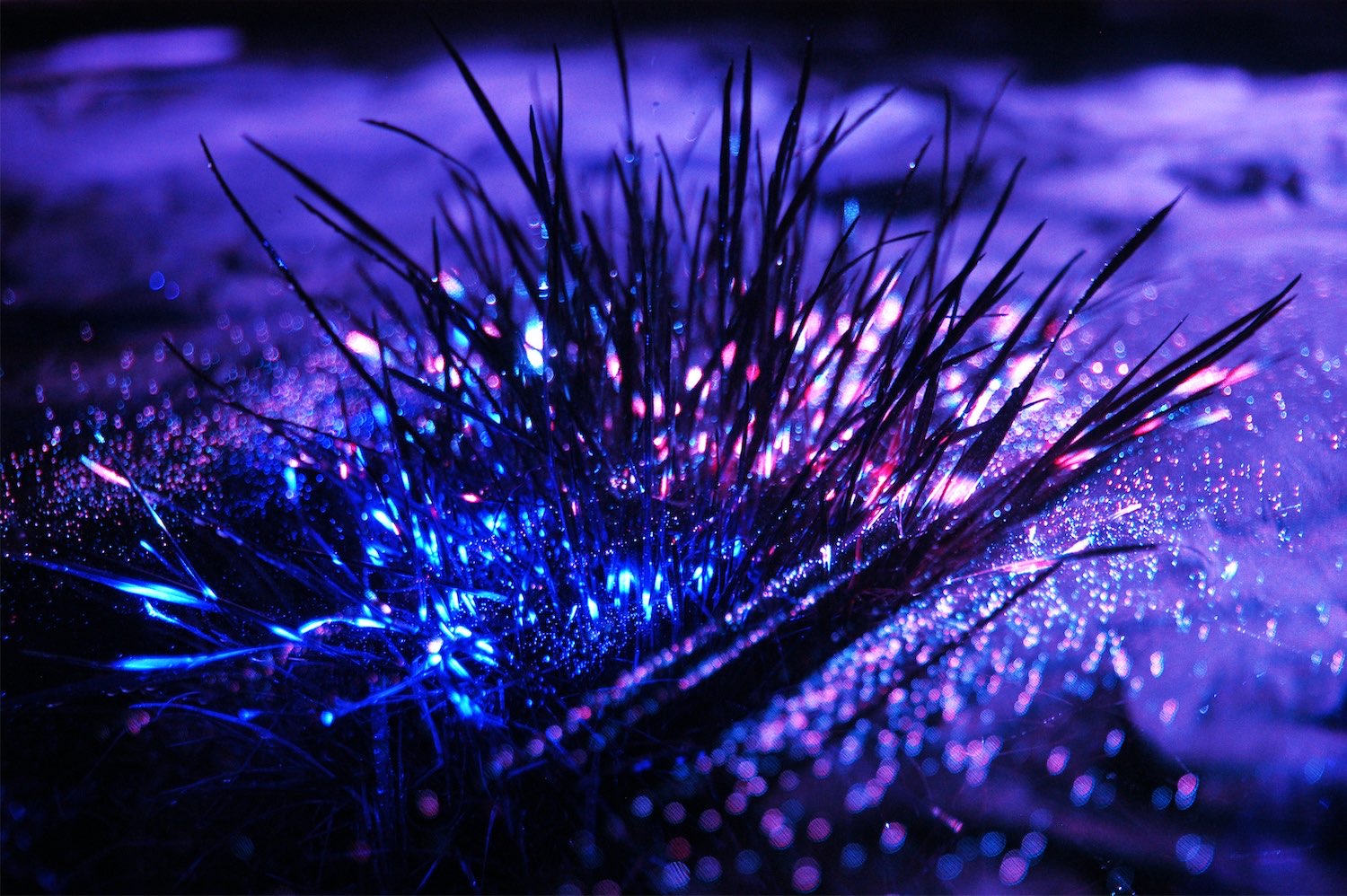 2020 ILDA Award Laser Photography entries